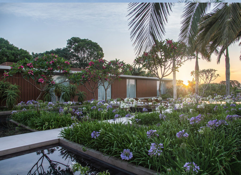 Alex Hanakazi est L’architecte paysagiste en vogue en ce moment